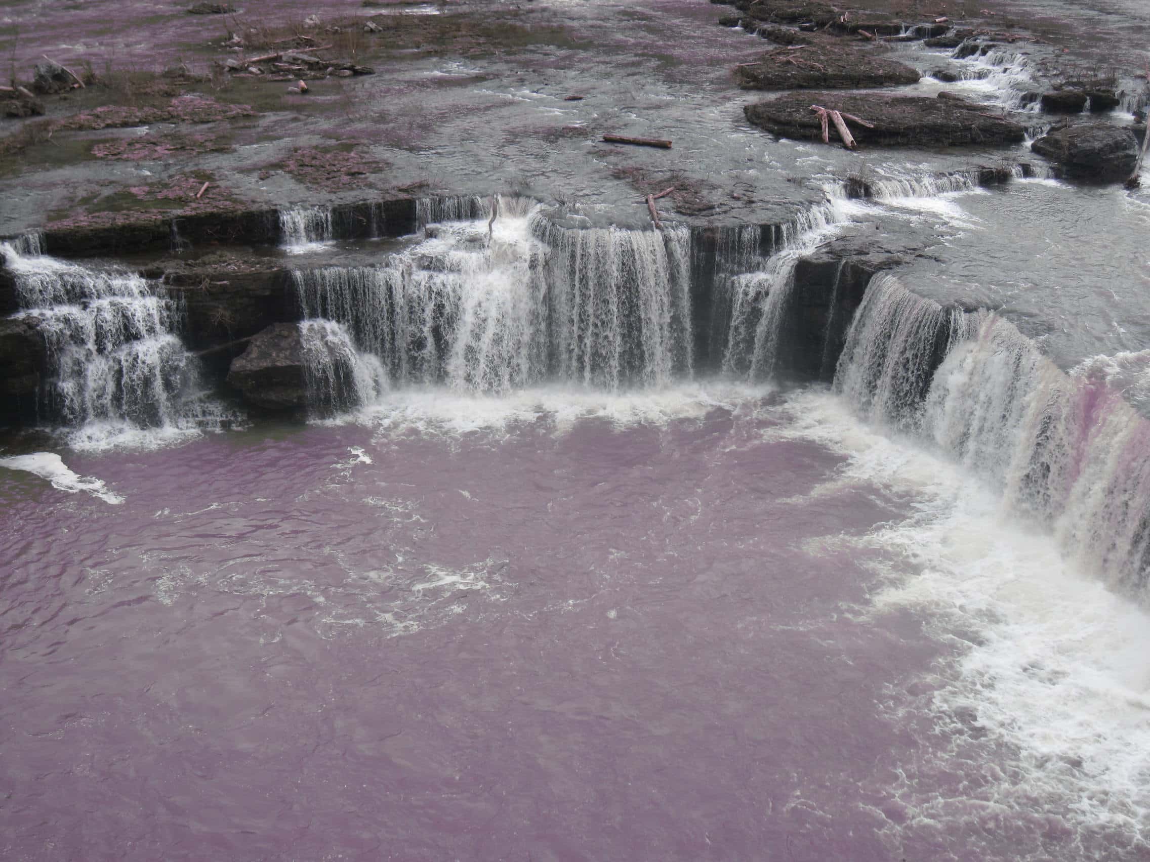 Jesus...our ARK - Sword Cross and Crown